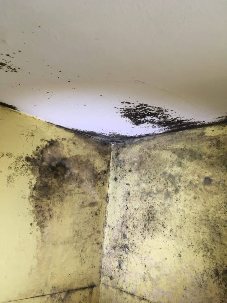 Benefits Of A Positive Input Ventilation Unit - Precision Basements ...